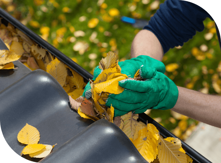 Gutter Cleaning Near Me | Local Seasonal Service | Premier-Roofing.com